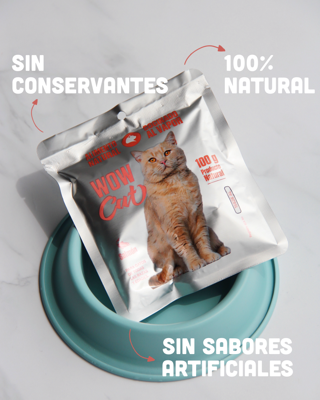 MundoCAN – Mundo Can